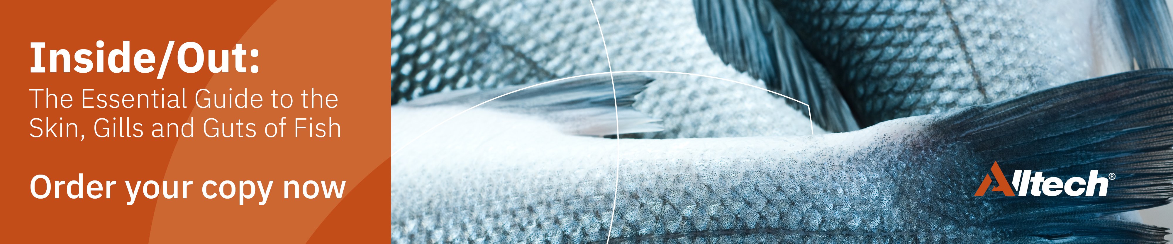 Alltech® Aqua — Unlocking Fish Health Inside Out — 2022